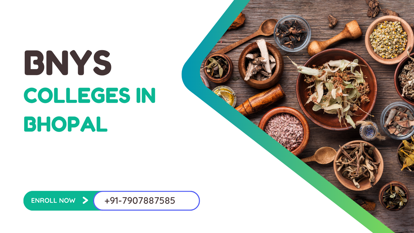 BNYS Colleges in Bhopal - The Latest List of Colleges