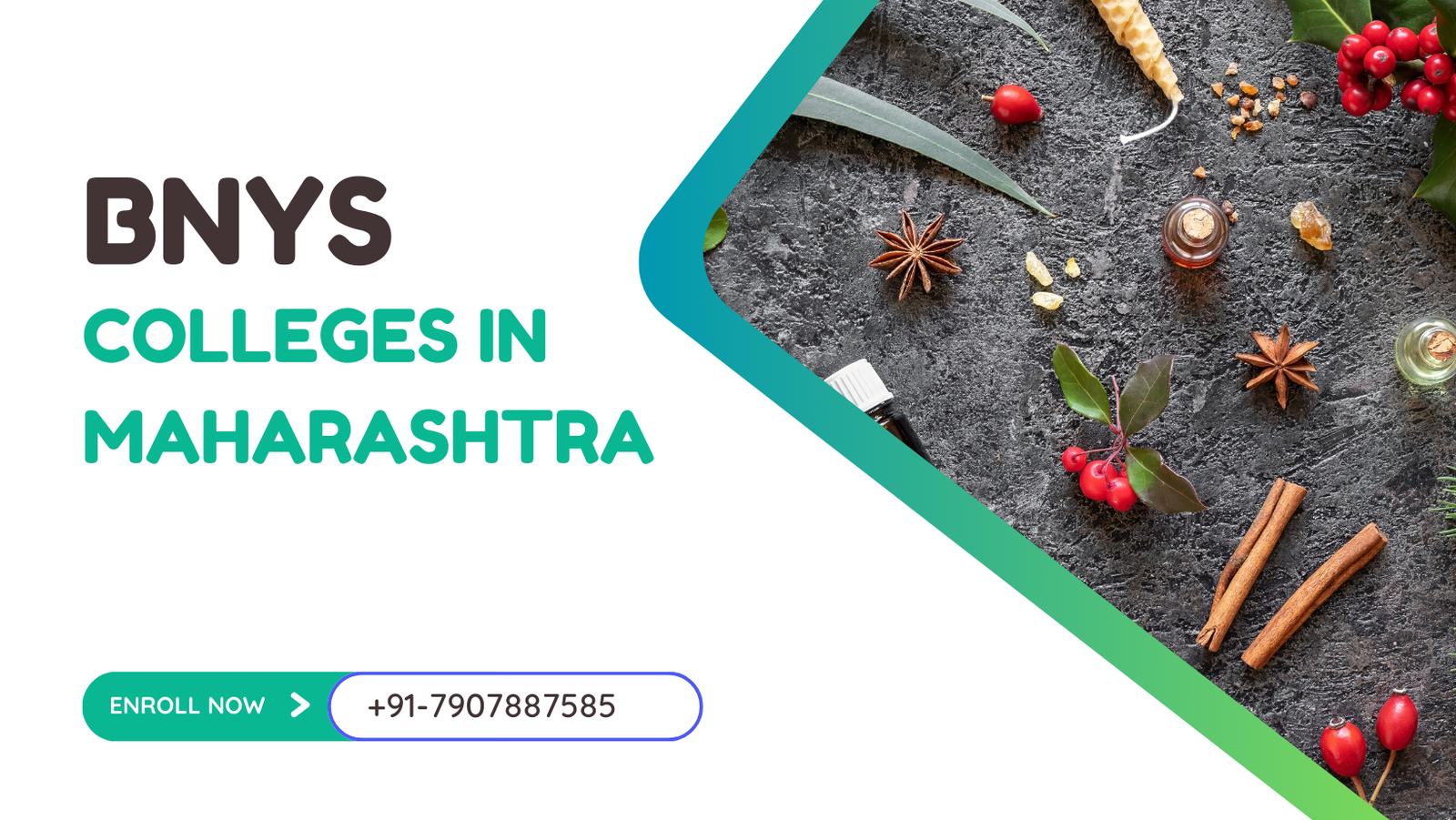 BNYS Colleges in Maharashtra - The Latest List of Colleges